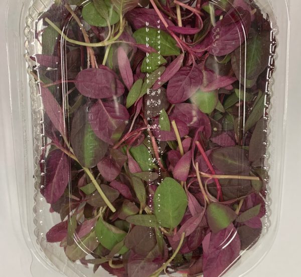 Micro Herbs - J. Carmichael & Co. Ltd.