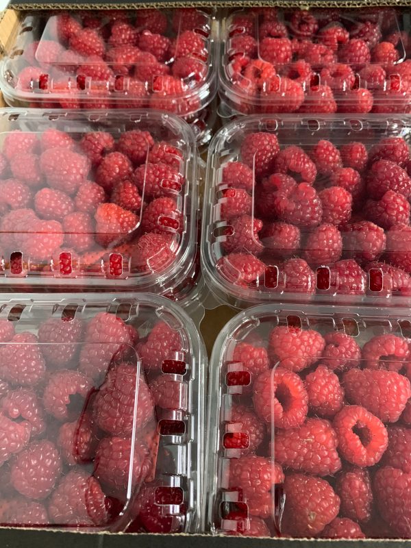 Raspberries - J. Carmichael & Co. Ltd.